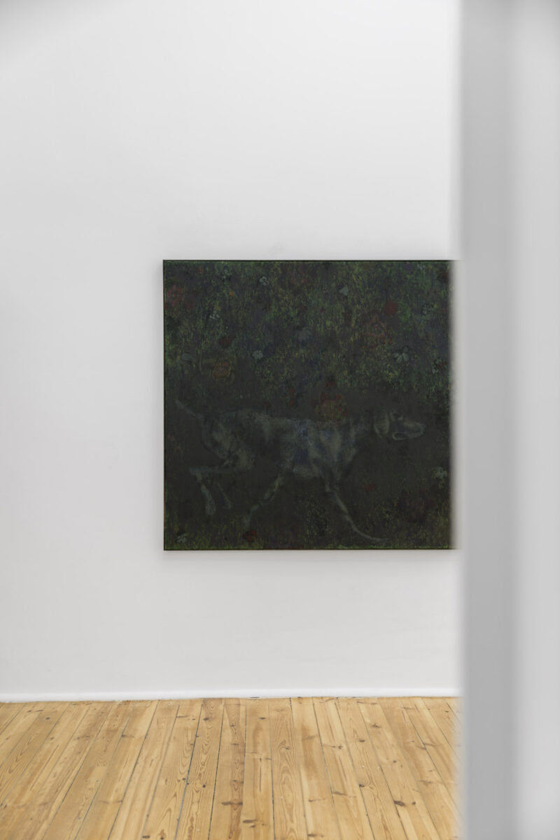 Oliver Bak at ADZ Gallery – Art Viewer