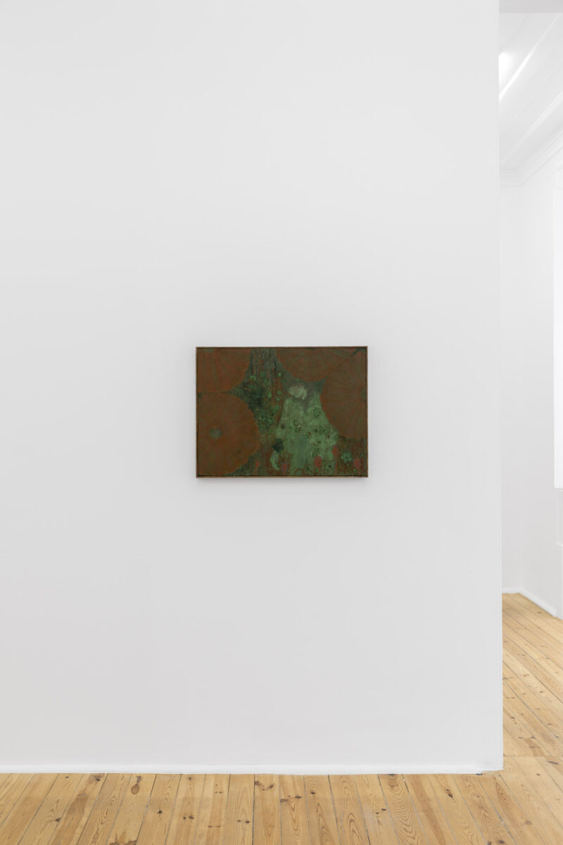 Oliver Bak at ADZ Gallery – Art Viewer