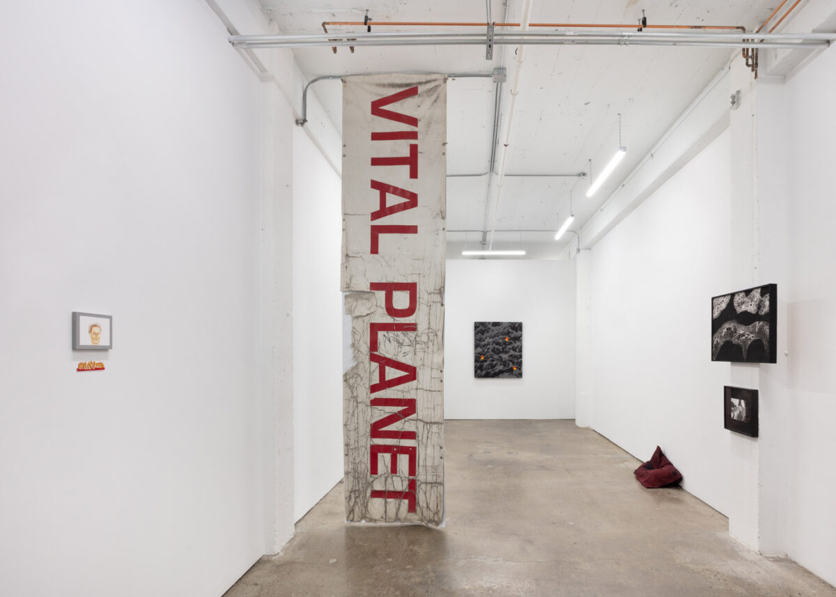 Paul Kajander at Franz Kaka – Art Viewer