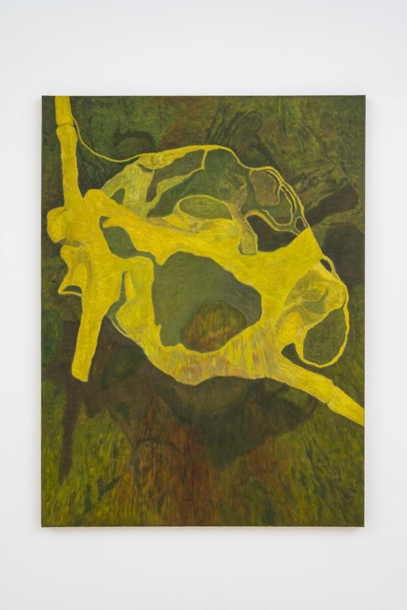 Randy Wray at MAMOTH – Art Viewer