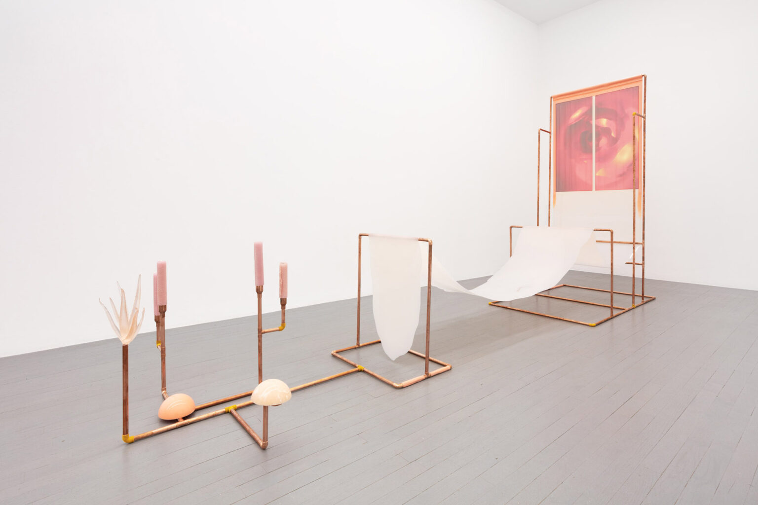 Vessels, Orbs and Pyrophytic Pods at Zalucky Contemporary – Art Viewer