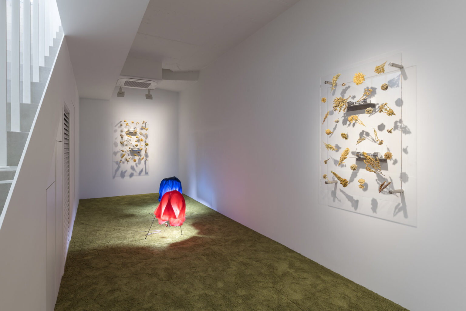 Anicka Yi at Gladstone Gallery – Art Viewer