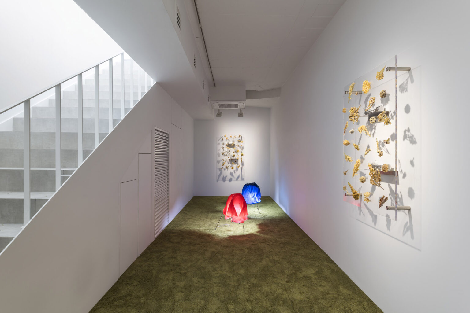 Anicka Yi at Gladstone Gallery – Art Viewer