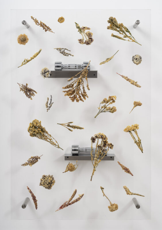 Anicka Yi at Gladstone Gallery – Art Viewer