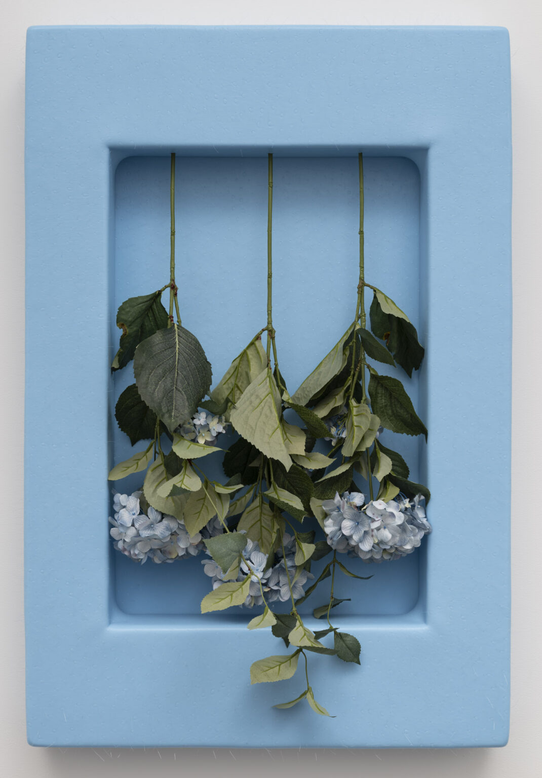 Anicka Yi at Gladstone Gallery – Art Viewer