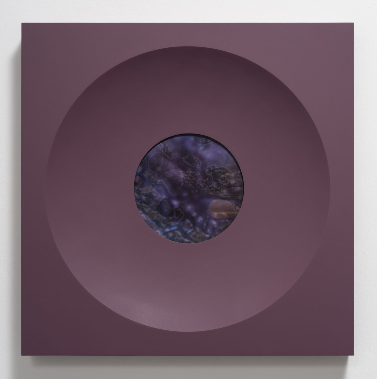 Anicka Yi at Gladstone Gallery – Art Viewer