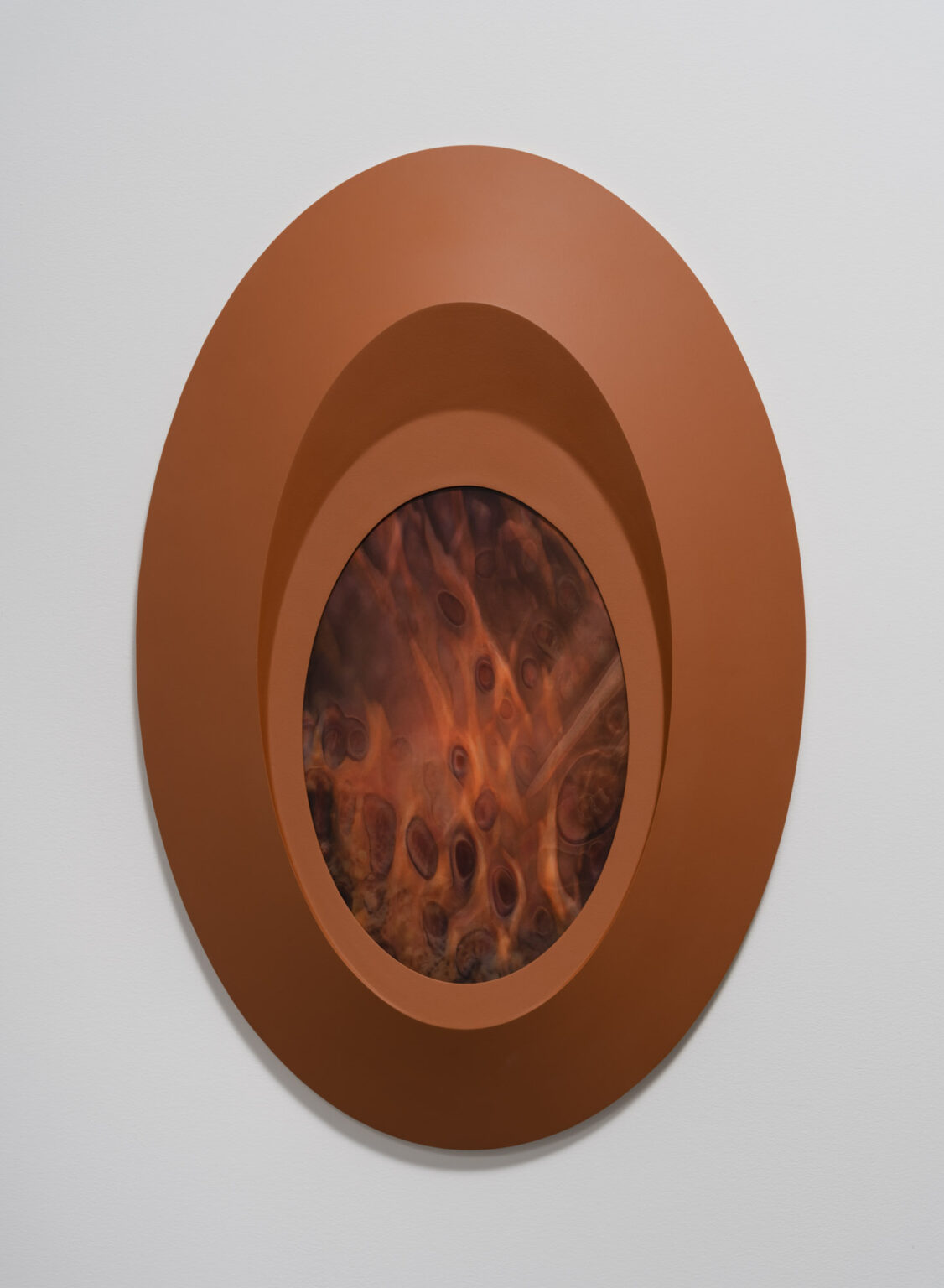 Anicka Yi at Gladstone Gallery – Art Viewer