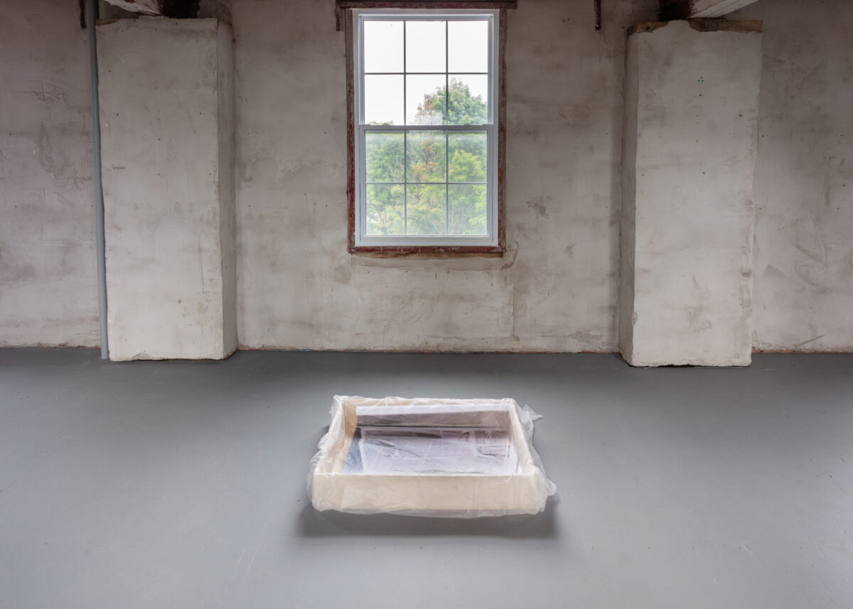 Eve Tagny and Emii Alrai at Visual Arts Centre of Clarington – Art Viewer