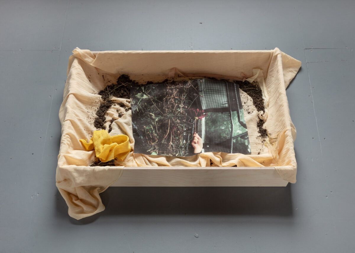 Eve Tagny and Emii Alrai at Visual Arts Centre of Clarington – Art Viewer
