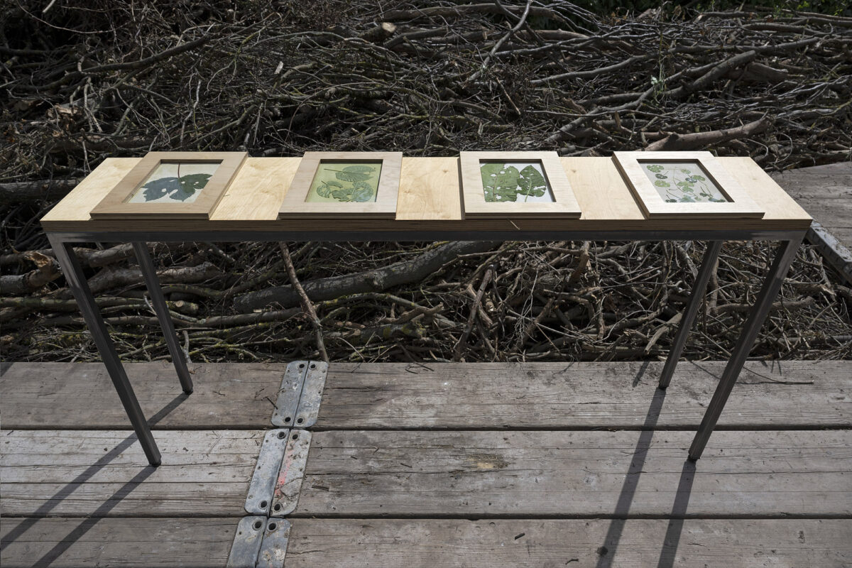 documenta 15: Compost heap (Karlsaue), Greenhouse (Karlsaue), Hiroshima ...