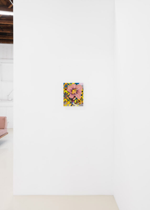 A Minor Constellation at Chris Sharp Gallery – Art Viewer