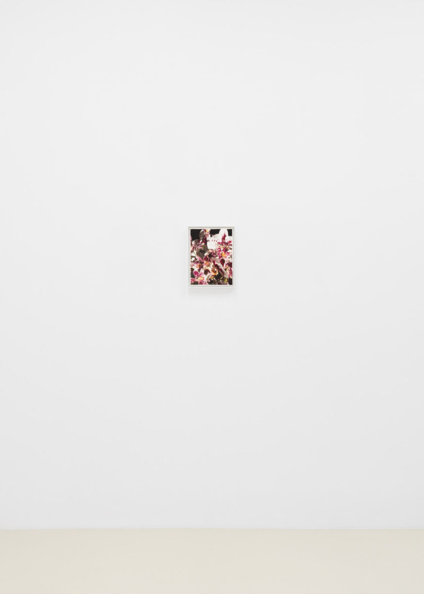 A Minor Constellation at Chris Sharp Gallery – Art Viewer