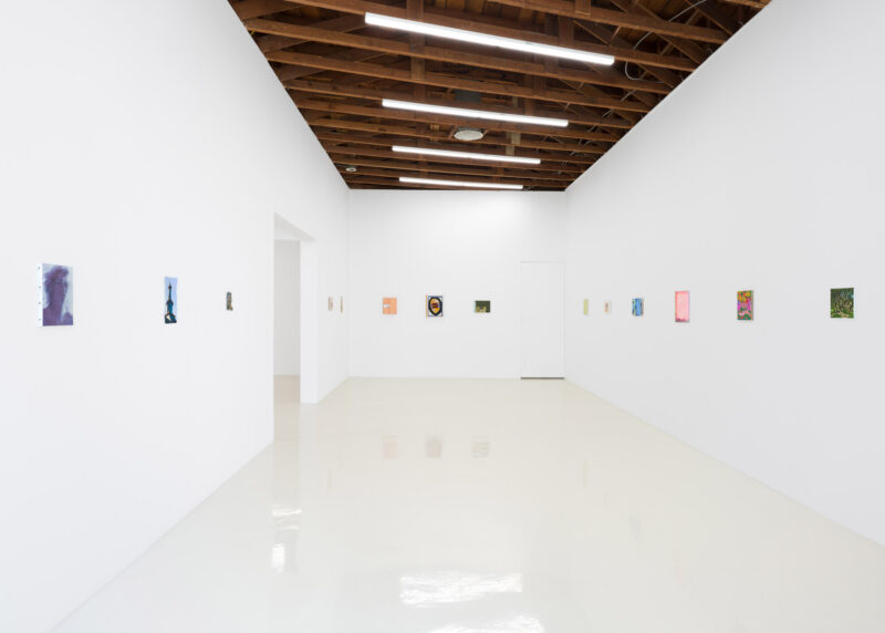 A Minor Constellation at Chris Sharp Gallery – Art Viewer
