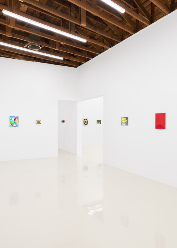 A Minor Constellation at Chris Sharp Gallery – Art Viewer