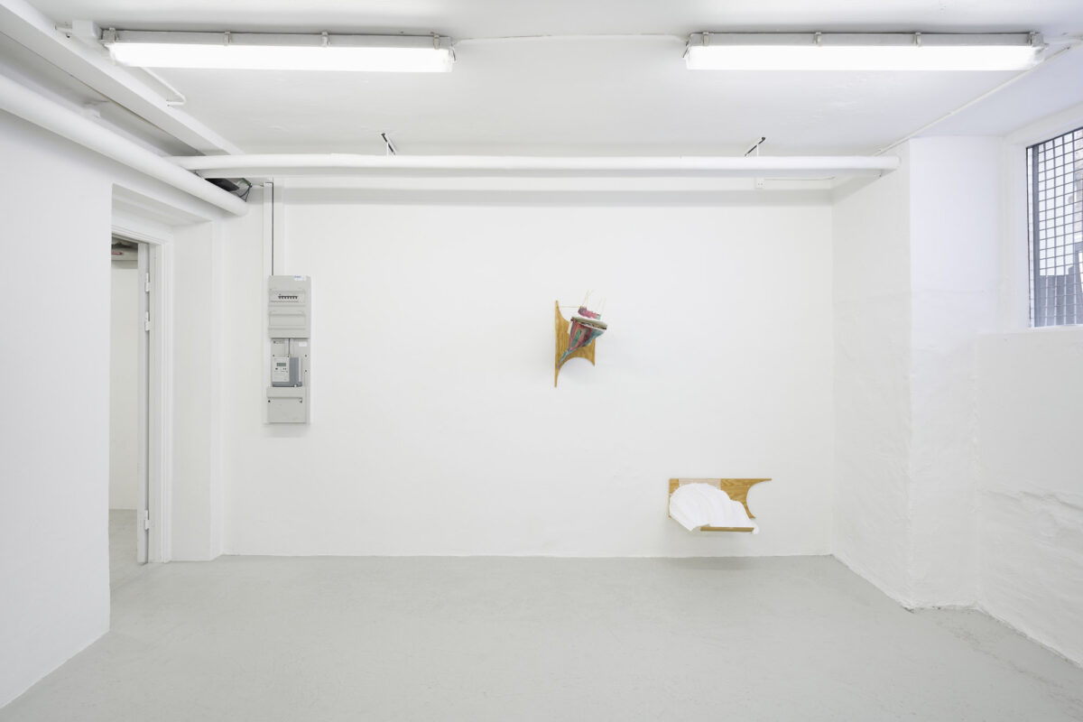 Anne-Mette Schultz at C.C.C. – Art Viewer