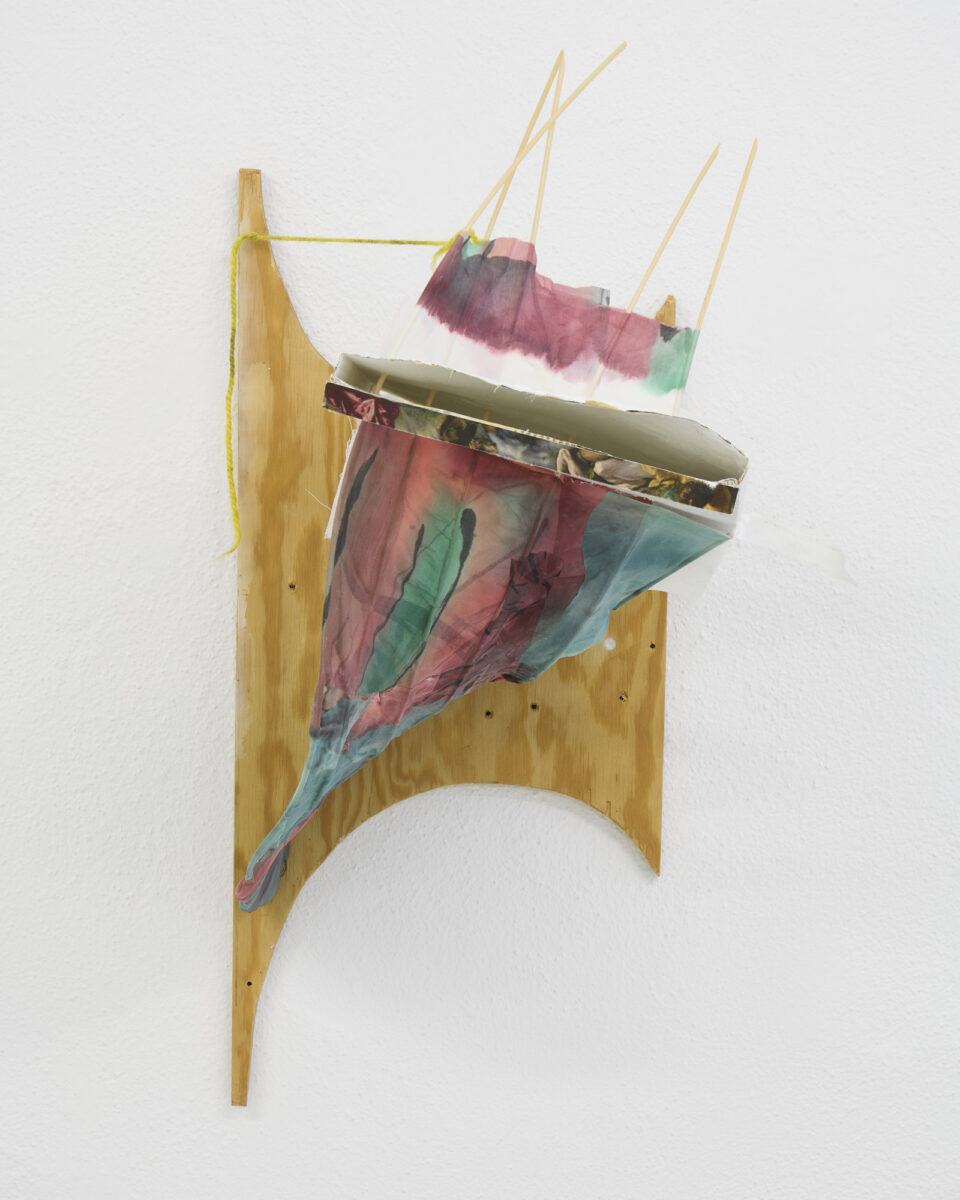Anne-Mette Schultz at C.C.C. – Art Viewer