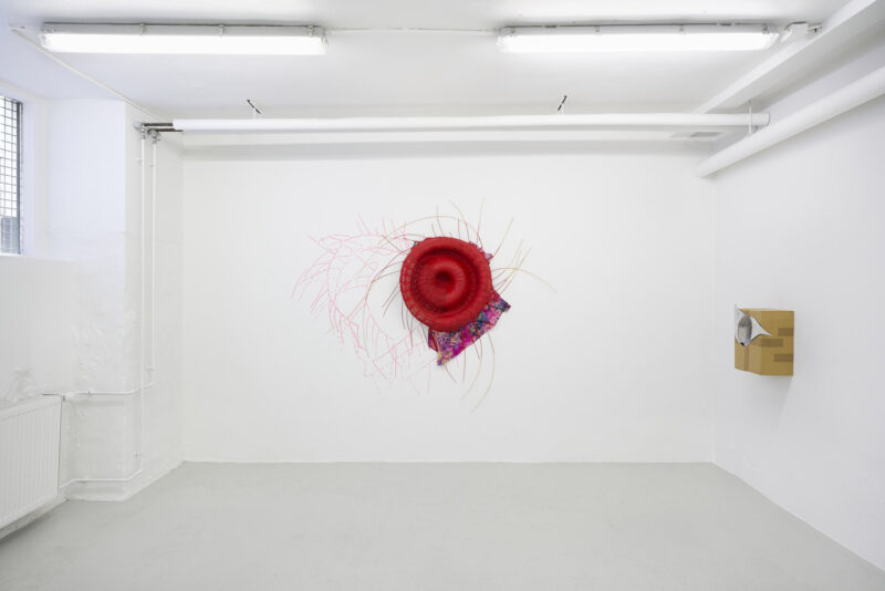 Anne-Mette Schultz at C.C.C. – Art Viewer