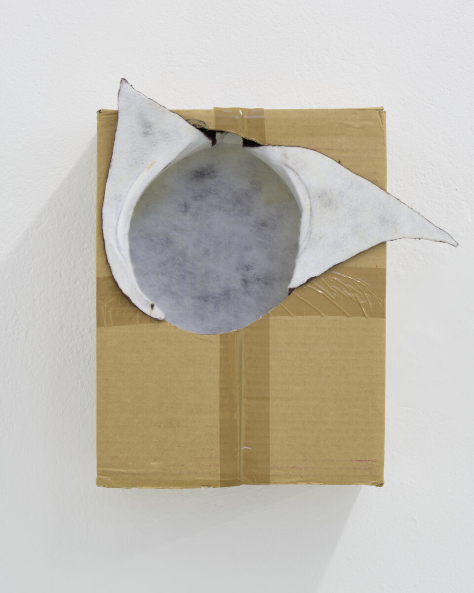 Anne-Mette Schultz at C.C.C. – Art Viewer