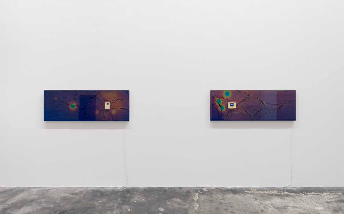 Cooper Jacoby at High Art – Art Viewer