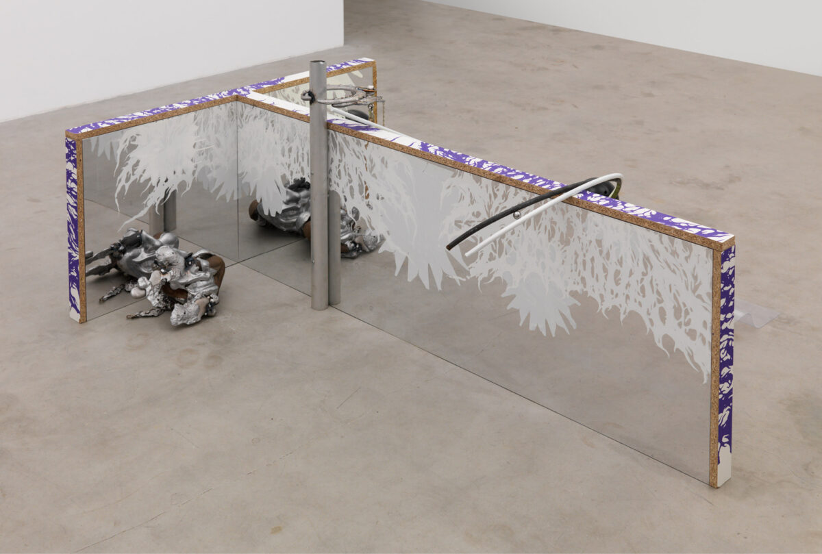 David Douard at Serralves Museum of Contemporary Art – Art Viewer