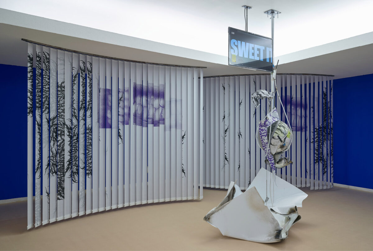 David Douard at Serralves Museum of Contemporary Art – Art Viewer