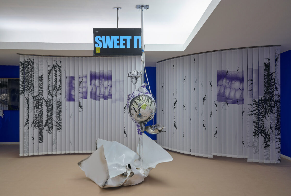 David Douard at Serralves Museum of Contemporary Art – Art Viewer