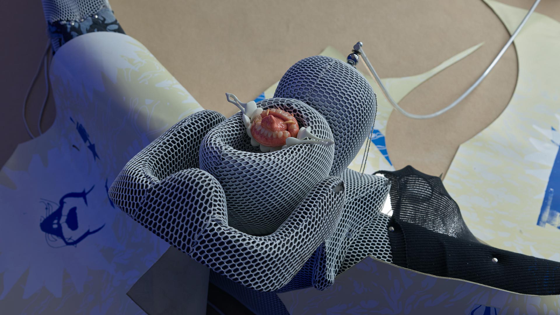 David Douard at Serralves Museum of Contemporary Art – Art Viewer