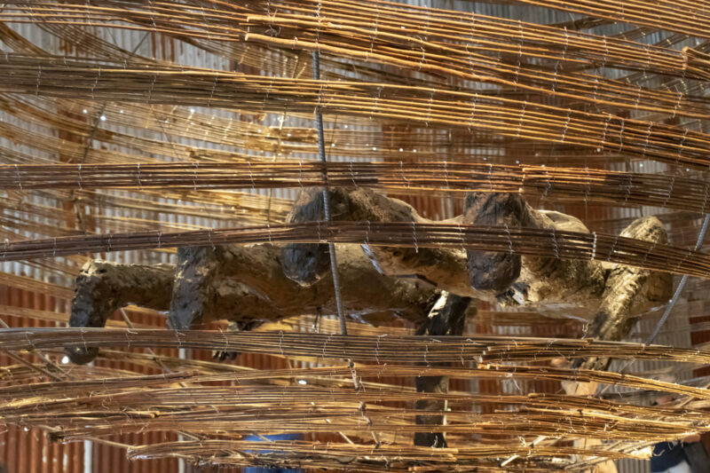 documenta 15: documenta Halle – Art Viewer