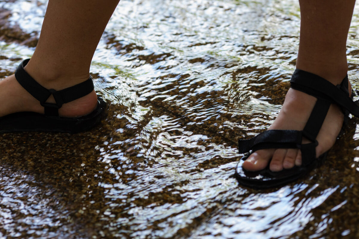 Asad Raza at Portikus – Art Viewer