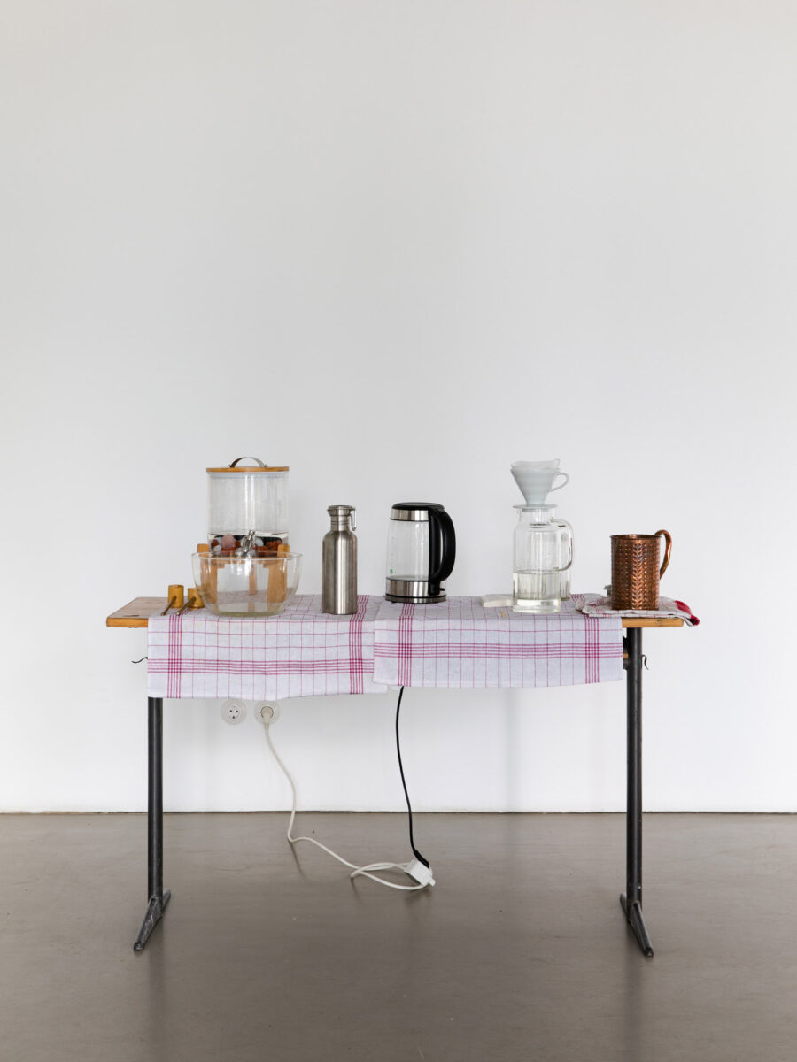 Asad Raza at Portikus – Art Viewer