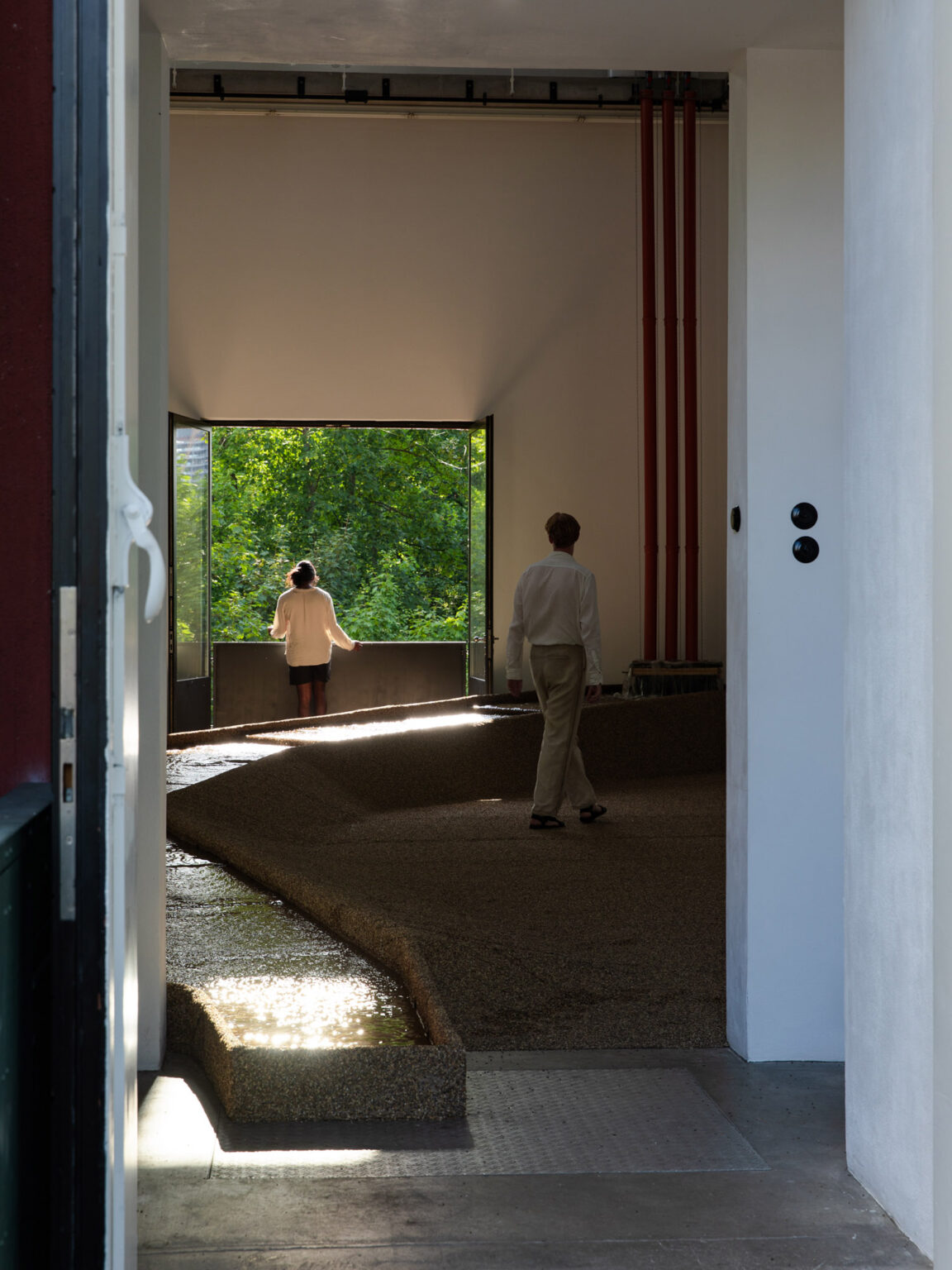 Asad Raza at Portikus – Art Viewer