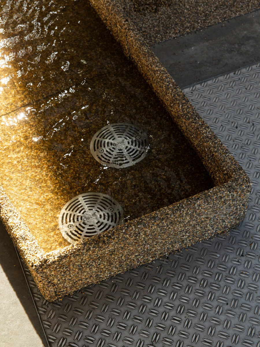 Asad Raza at Portikus – Art Viewer