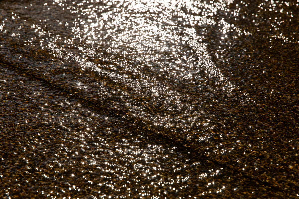 Asad Raza at Portikus – Art Viewer