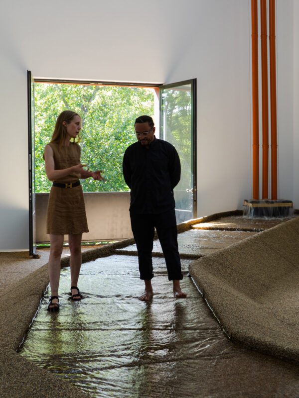 Asad Raza at Portikus – Art Viewer