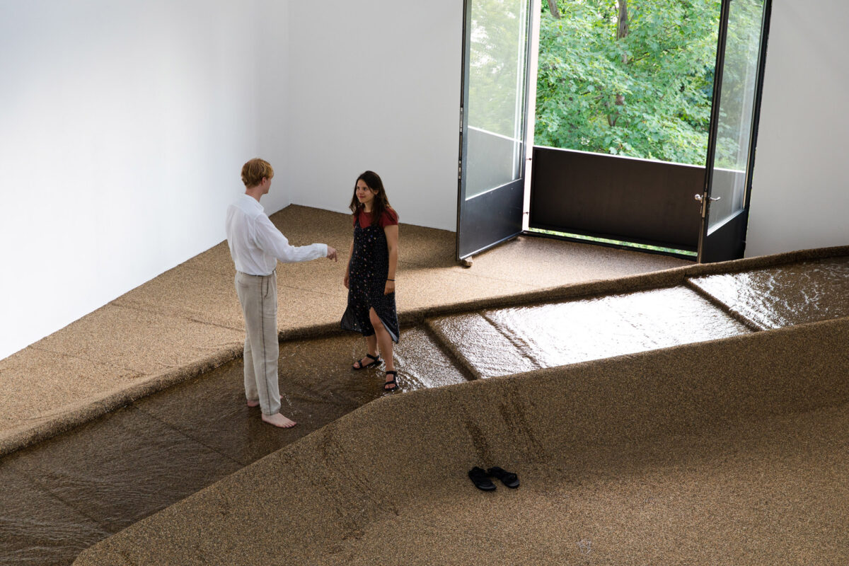 Asad Raza at Portikus – Art Viewer