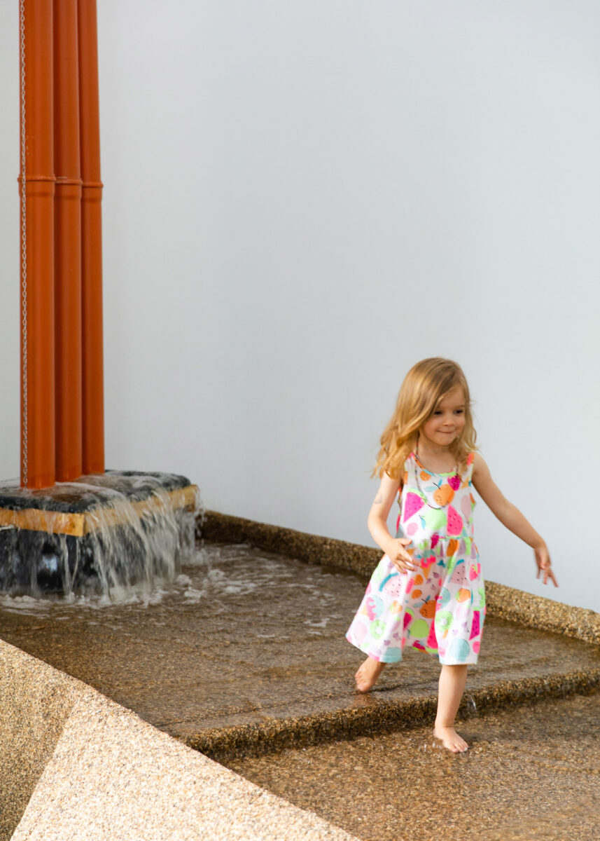 Asad Raza at Portikus – Art Viewer