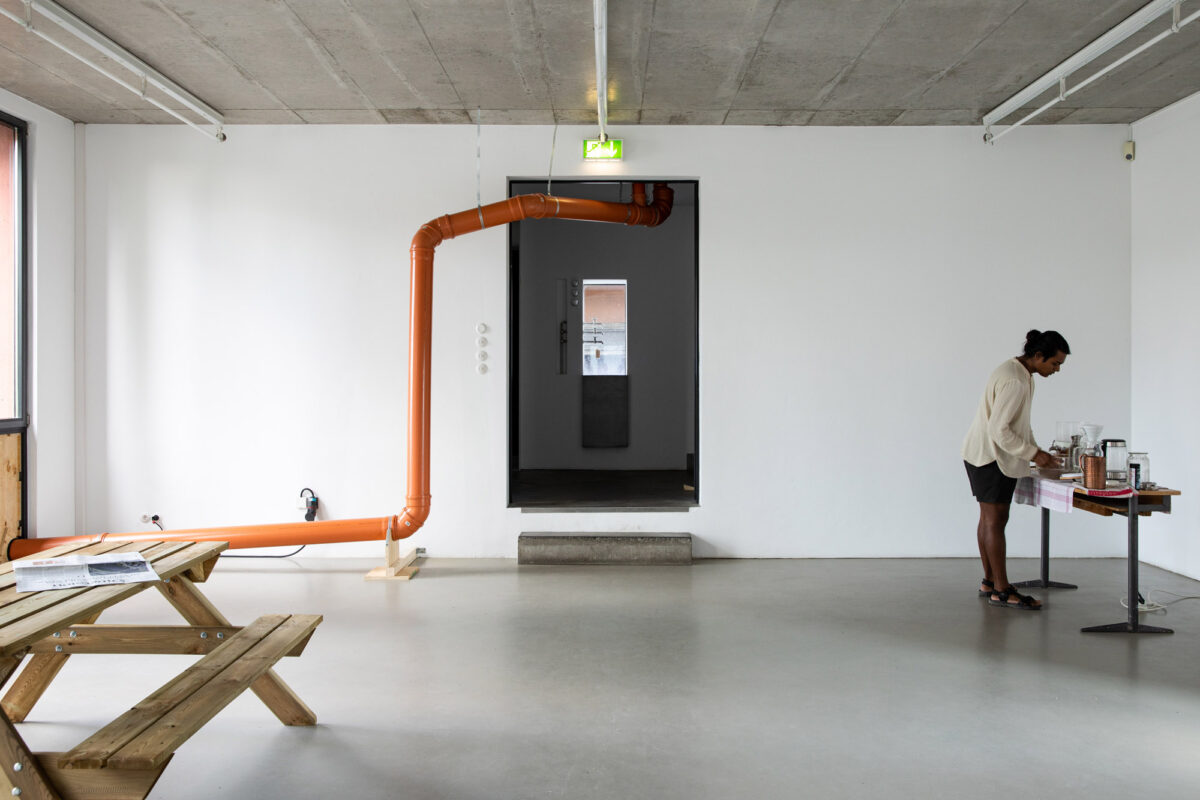 Asad Raza at Portikus – Art Viewer