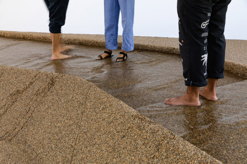 Asad Raza at Portikus – Art Viewer