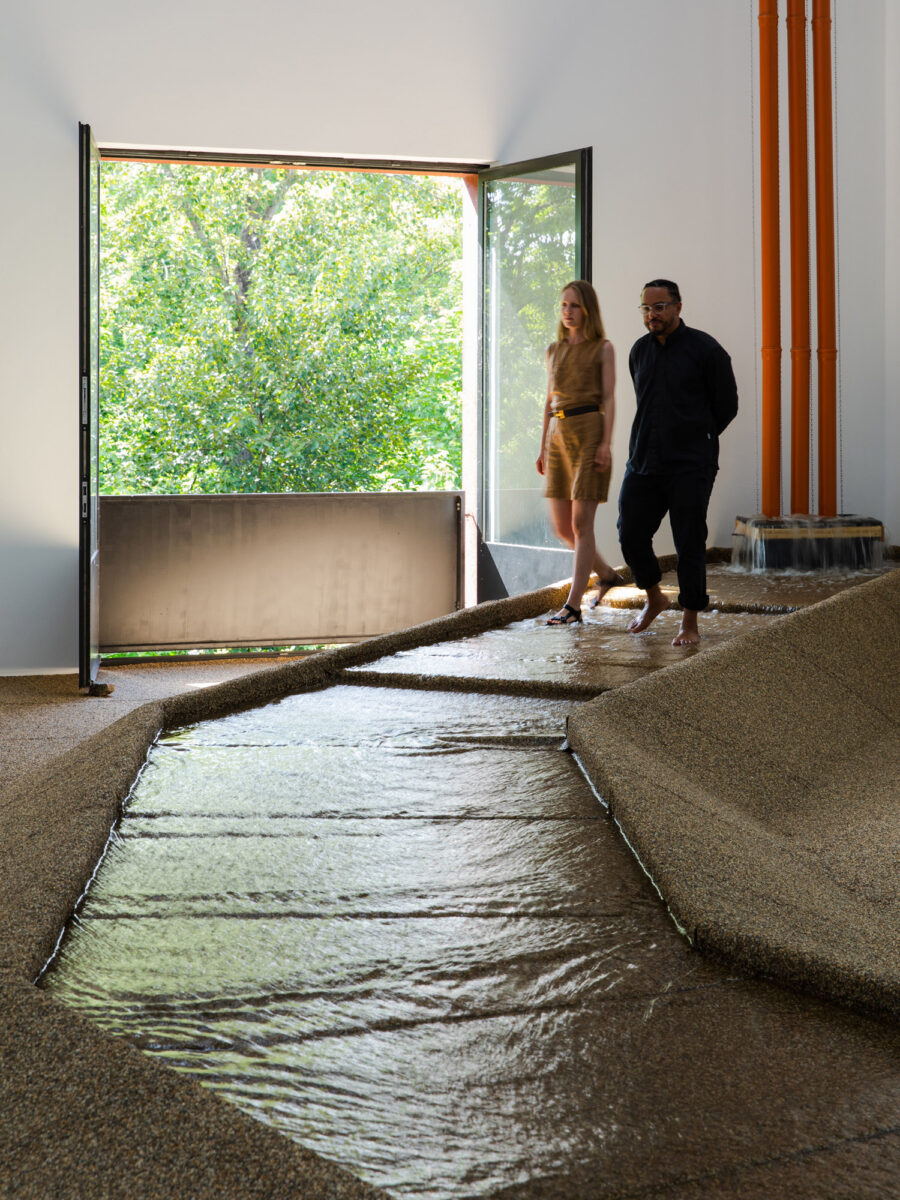 Asad Raza at Portikus – Art Viewer