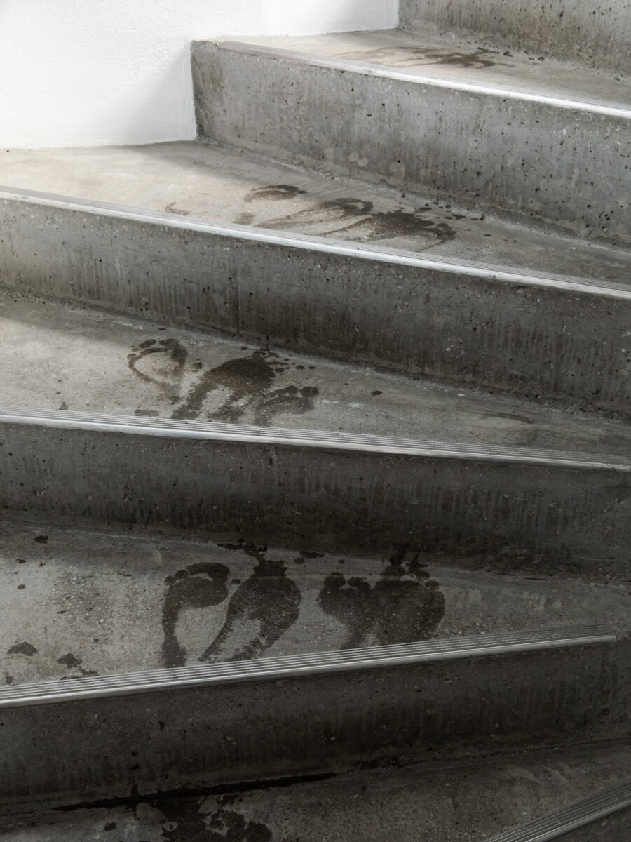 Asad Raza at Portikus – Art Viewer