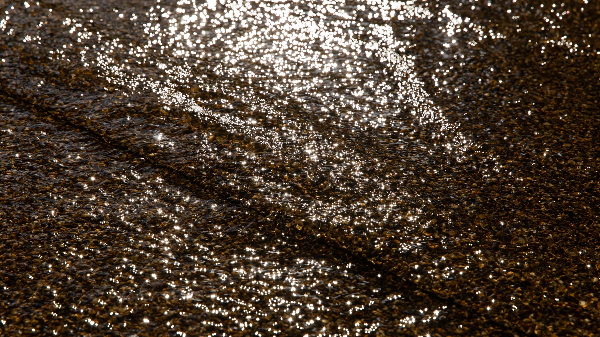 Asad Raza at Portikus – Art Viewer