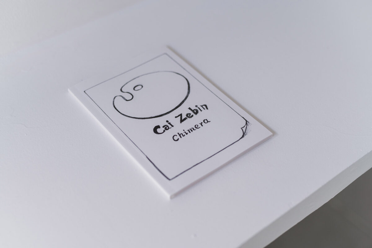 Cai Zebin at TC101 SPACE – Art Viewer