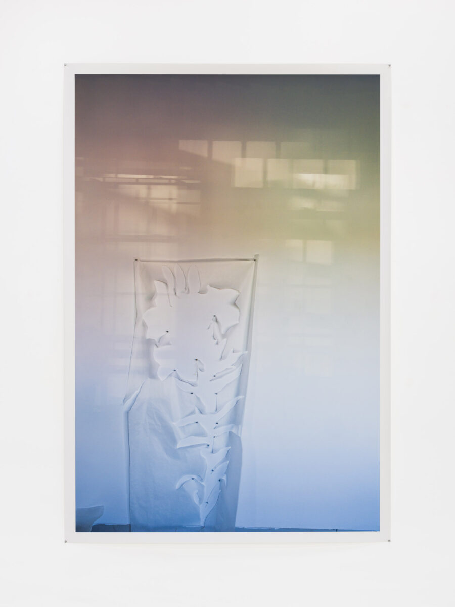 David Gilbert at Chris Sharp Gallery – Art Viewer