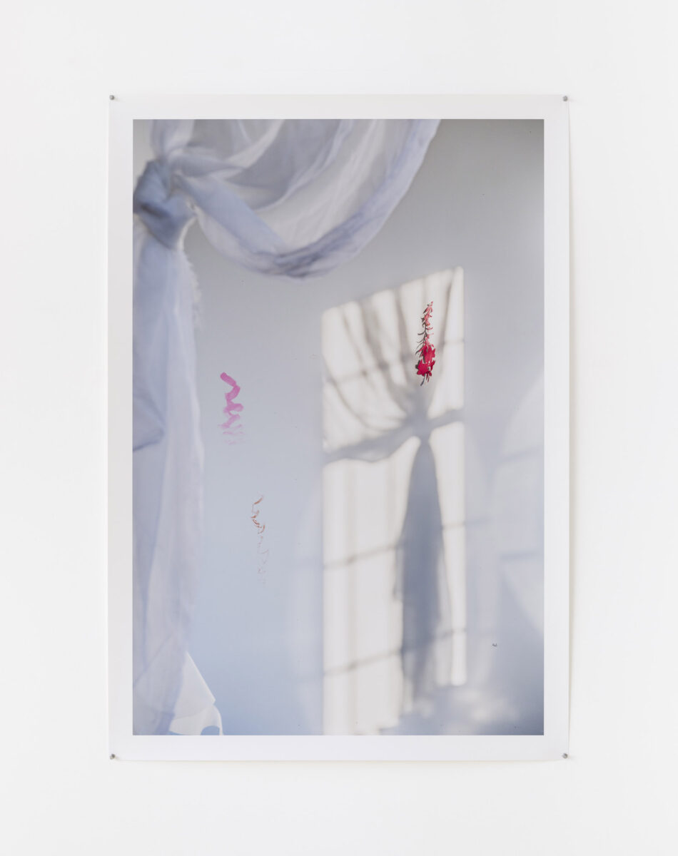 David Gilbert at Chris Sharp Gallery – Art Viewer