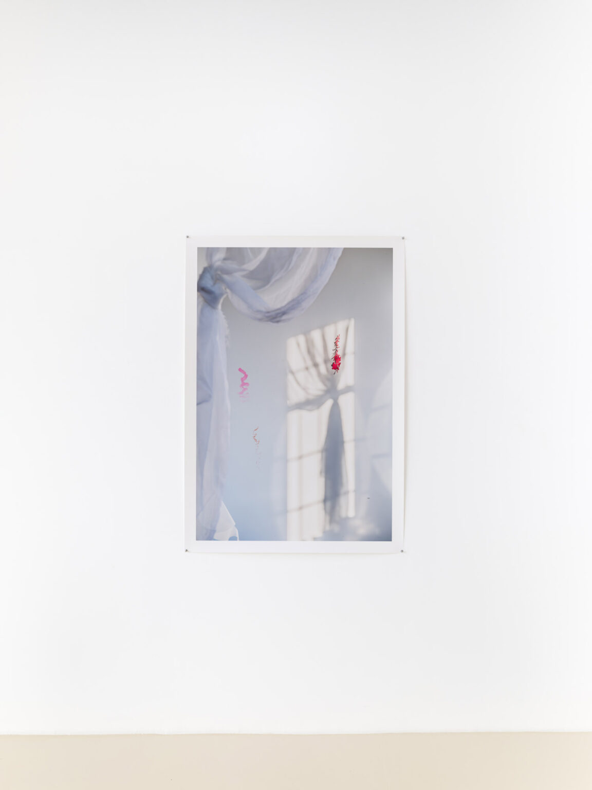 David Gilbert at Chris Sharp Gallery – Art Viewer