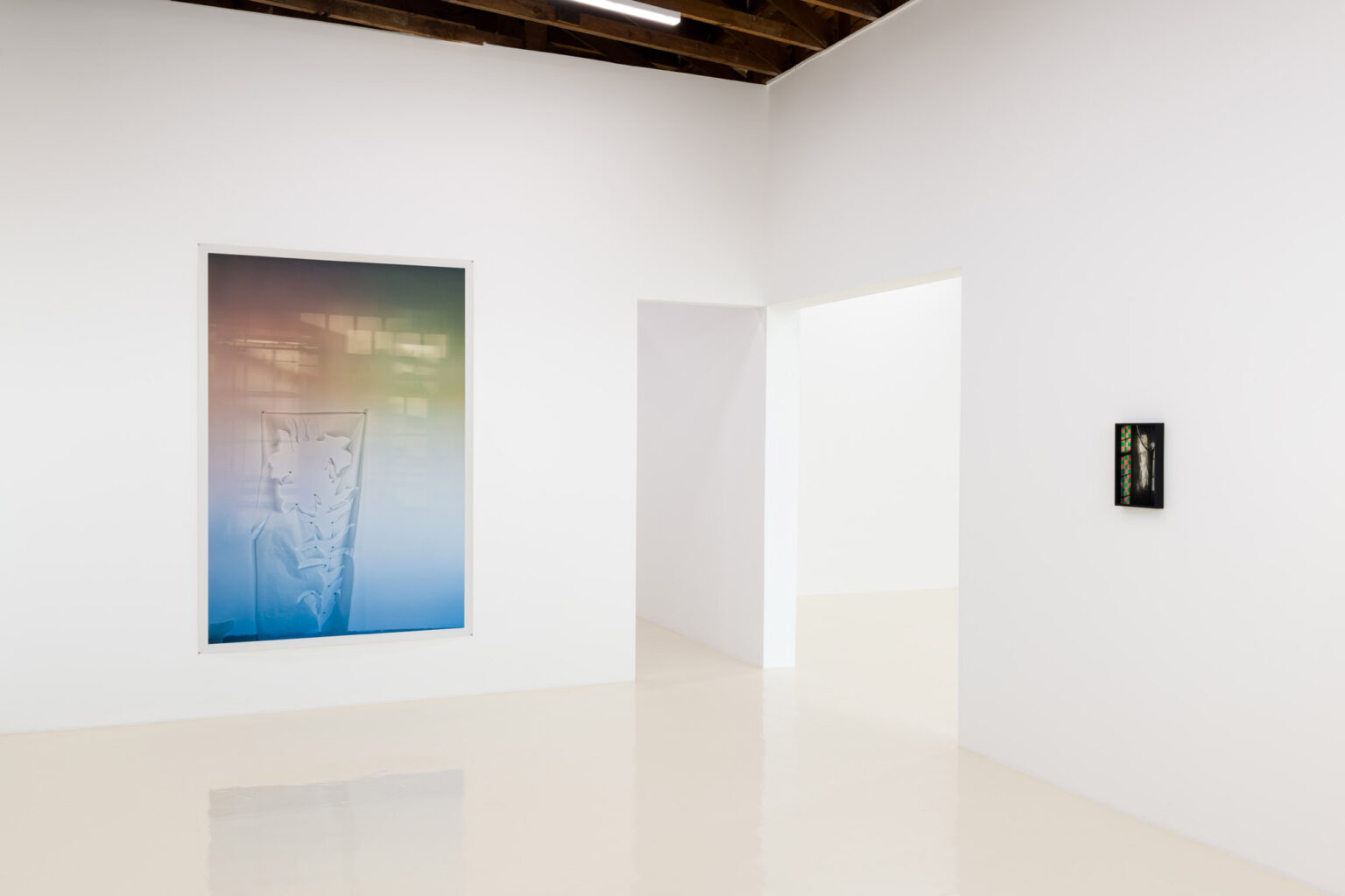 David Gilbert at Chris Sharp Gallery – Art Viewer