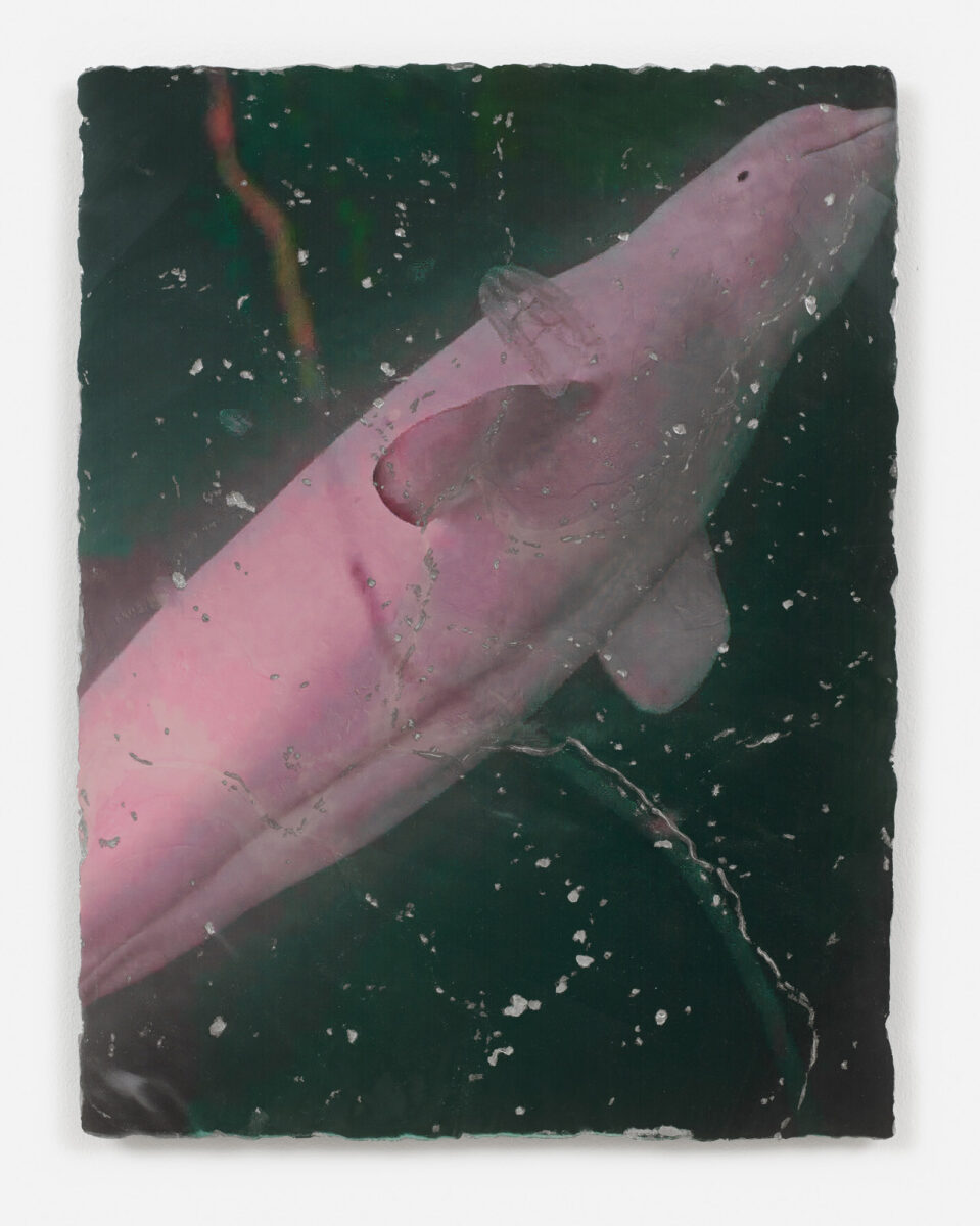 Katja Novitskova at Kraupa-Tuskany Zeidler – Art Viewer