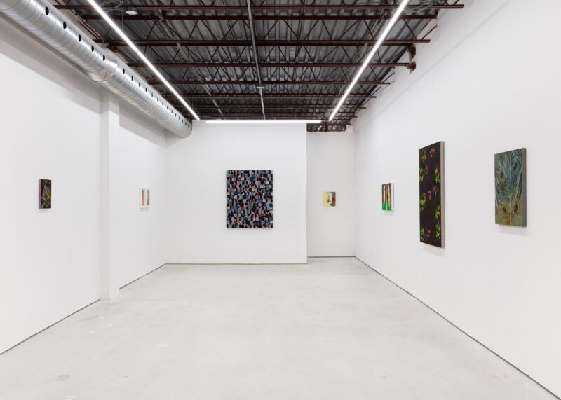 Tattarrattat at Hunt Gallery – Art Viewer