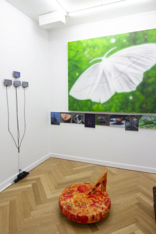 The Atavistic Homeschooling of Espalier at Below Grand – Art Viewer