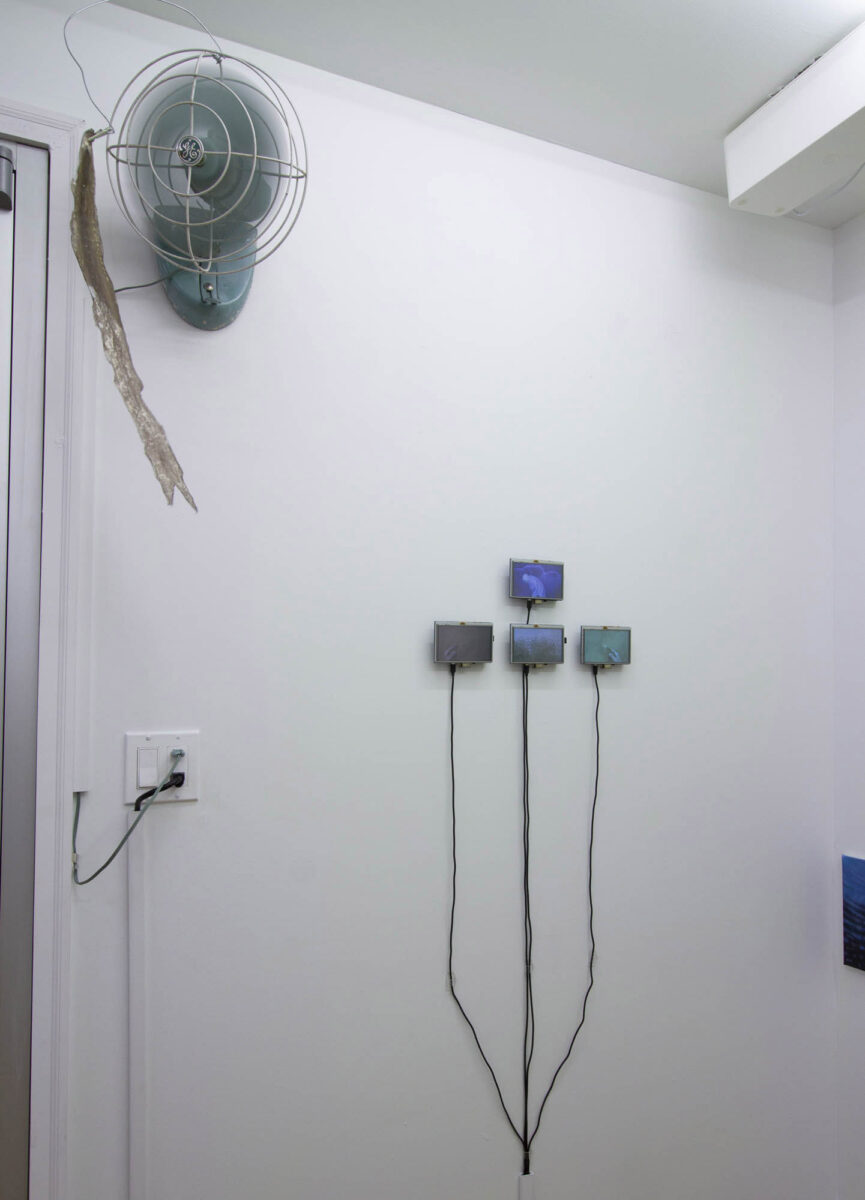 The Atavistic Homeschooling of Espalier at Below Grand – Art Viewer